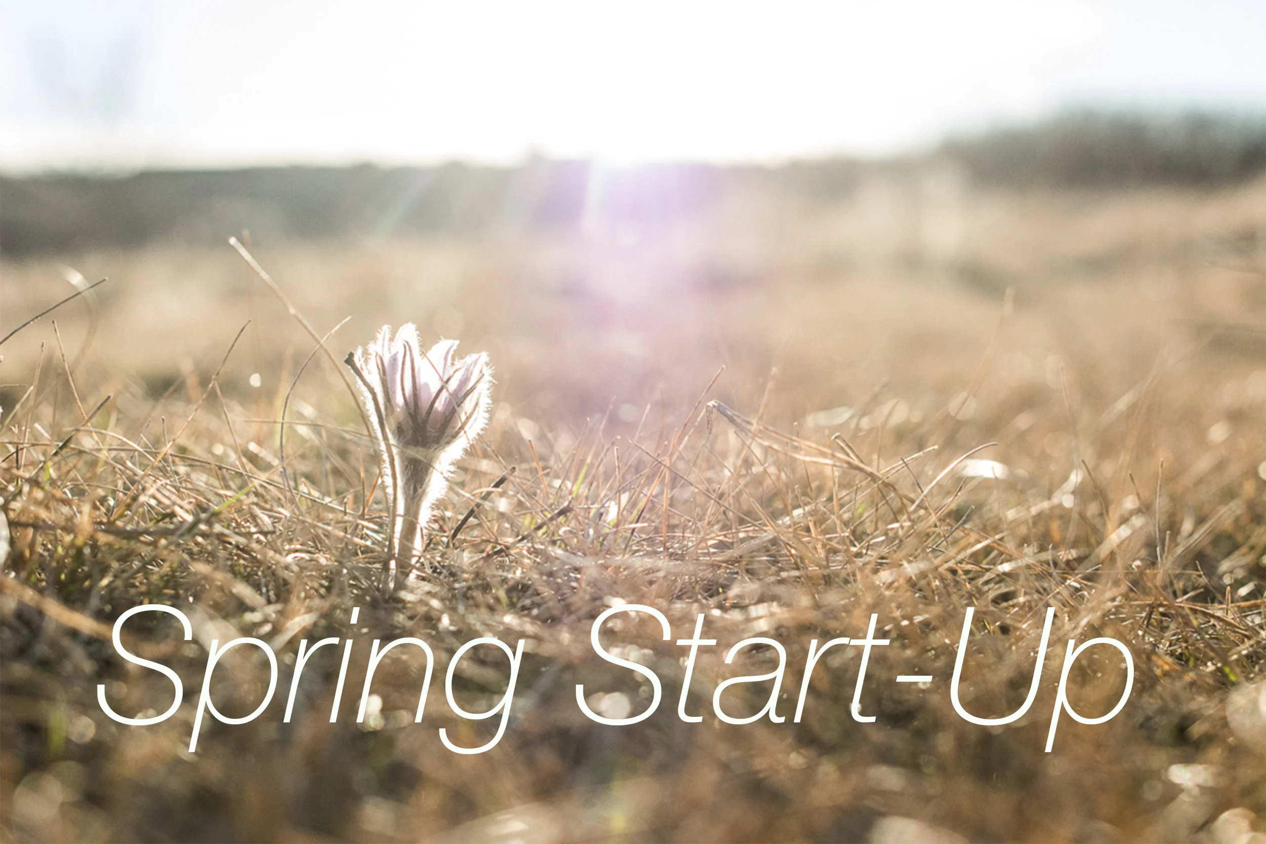 Annual Irrigation Service Subscriptions — Grizzly Irrigation