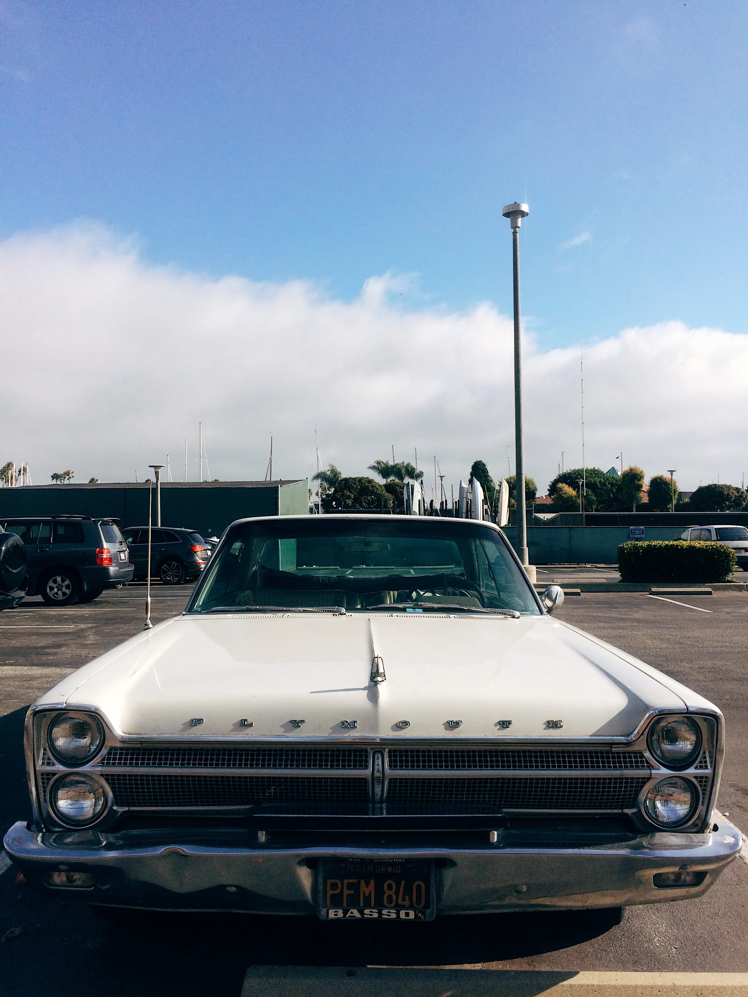 Cars — Alexia Mariani