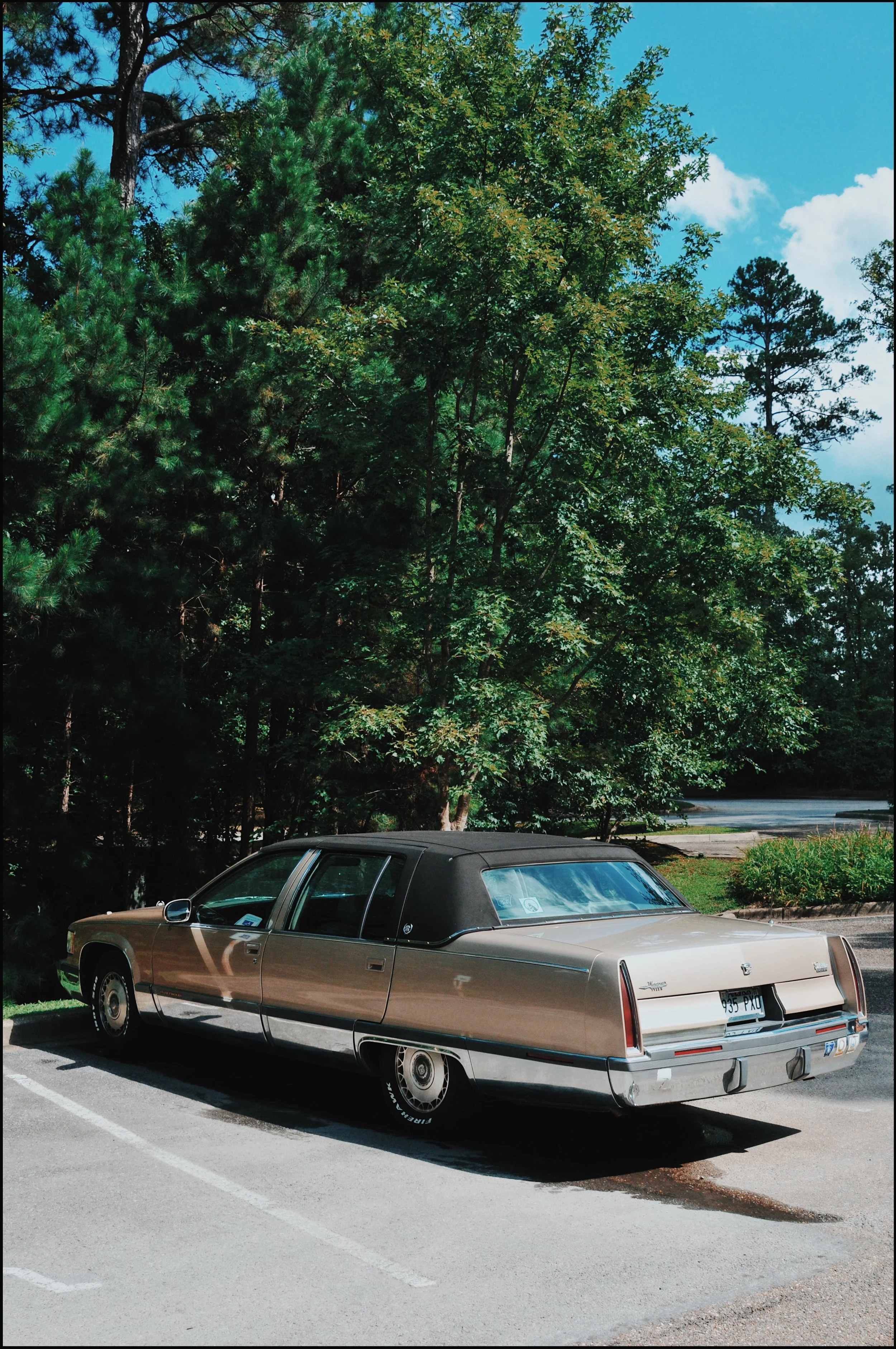 Cars — Alexia Mariani