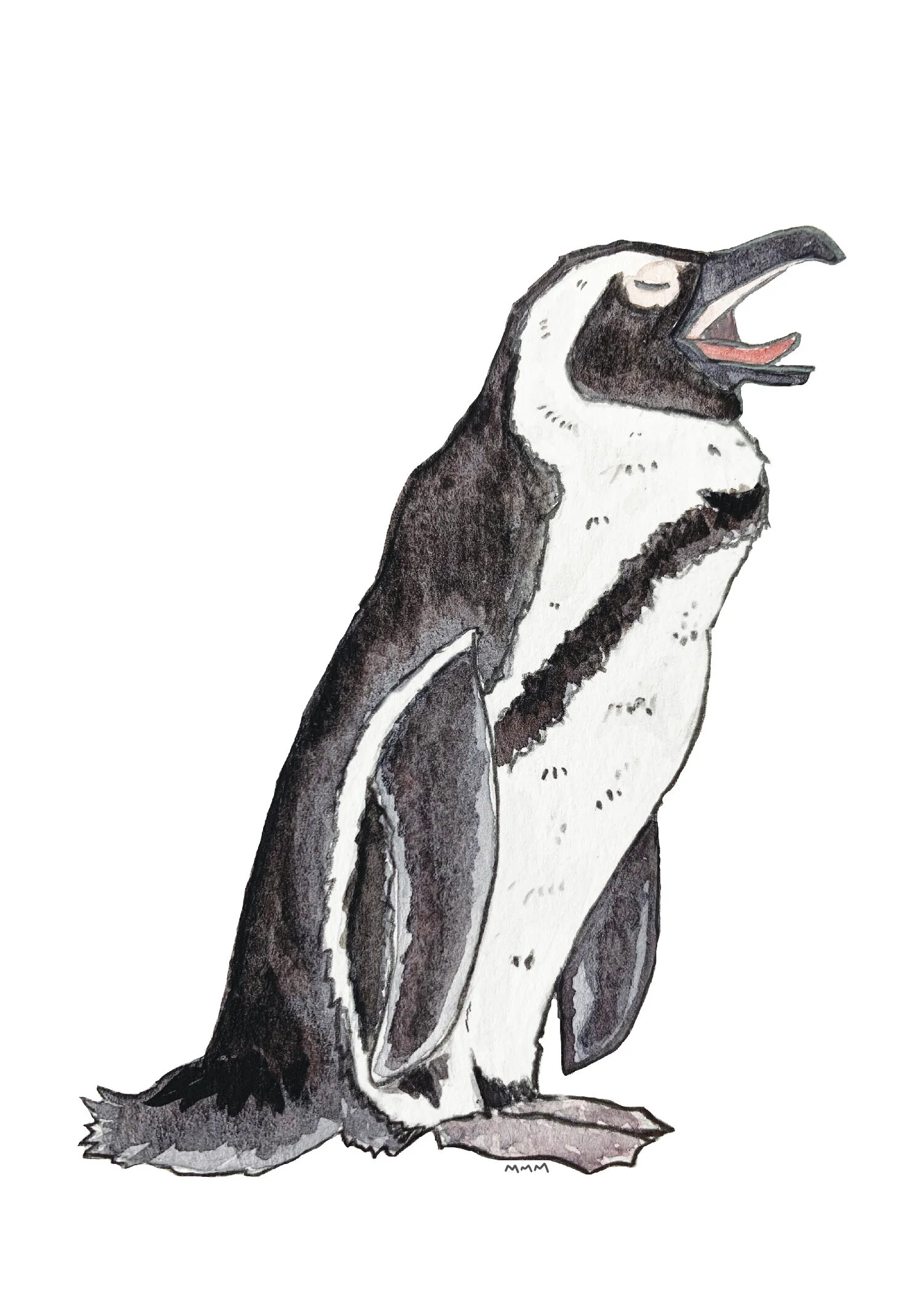 Emperor Penguin Pictures To Print