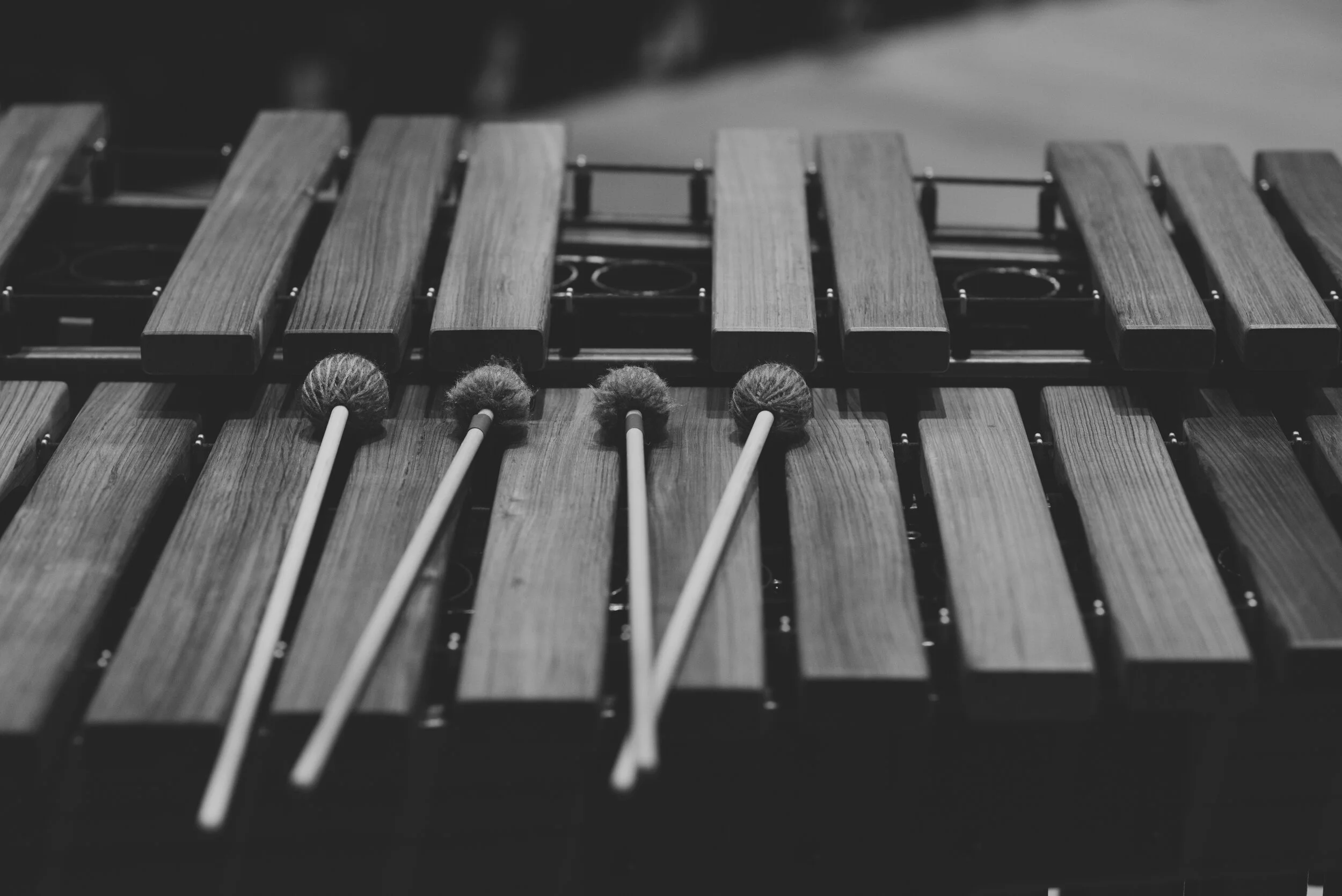 EDUCATION — JENNY KLUKKEN