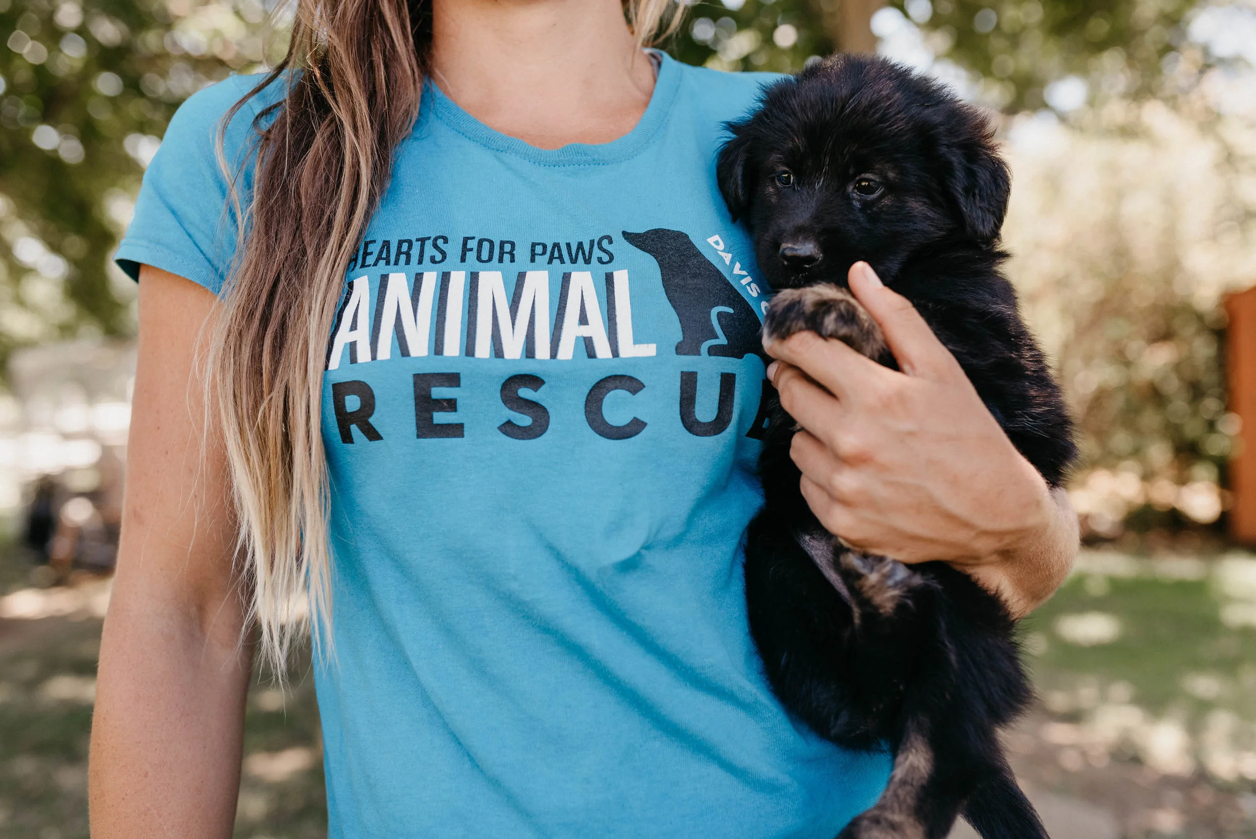 Hearts for Paws Rescue