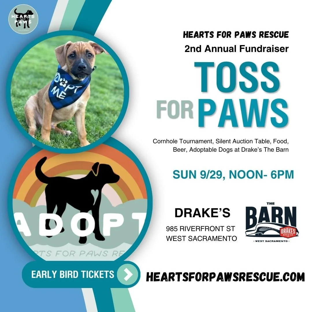 Hearts for Paws Rescue