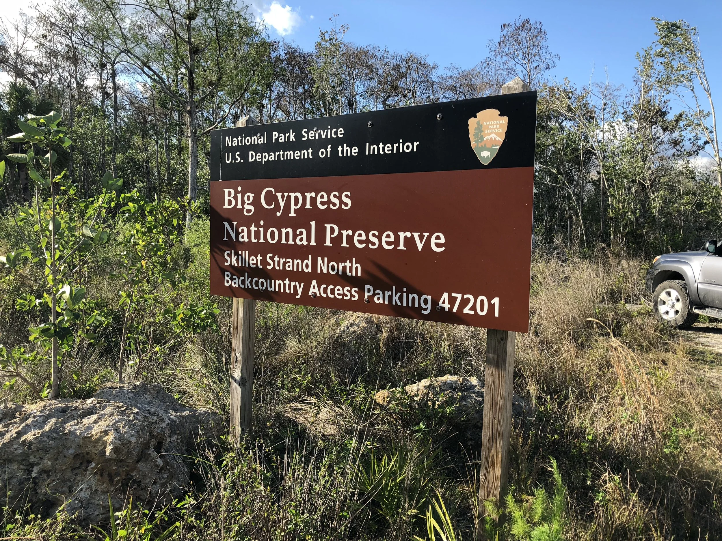 From one swamp to another — The Rabbit Hole Experience