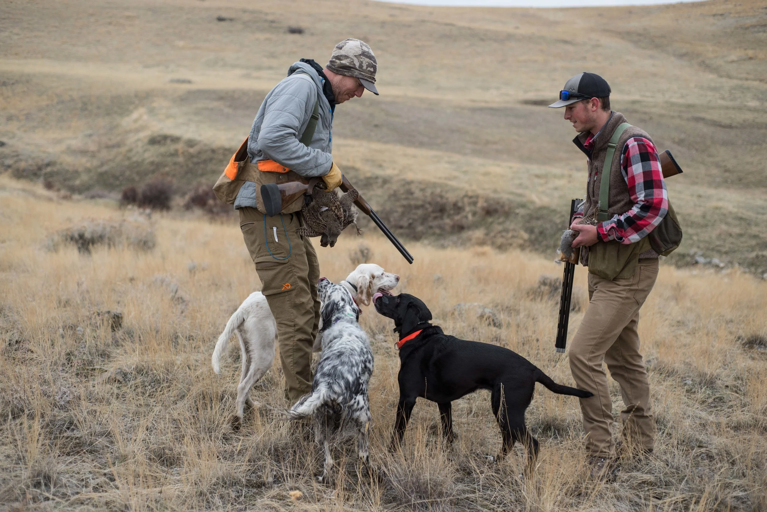 The hunt — Montana Upland Outfitters