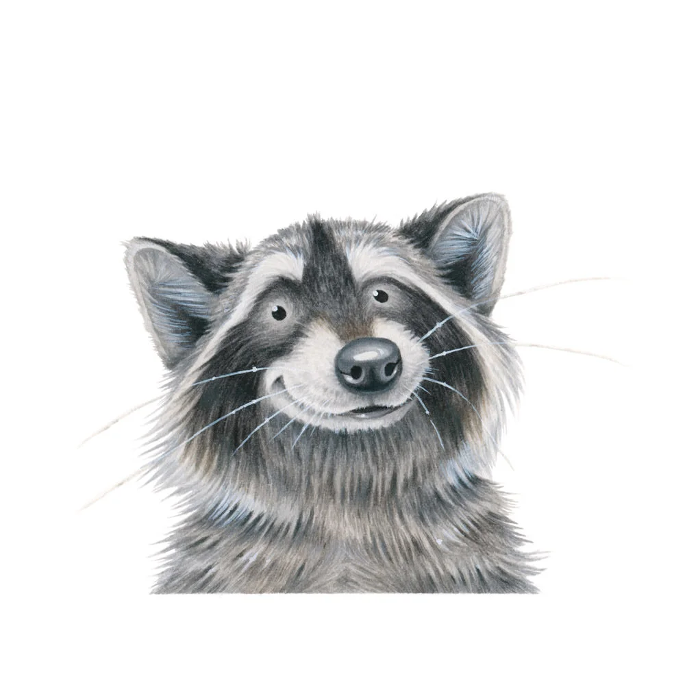 Kristin Makarius — 'Ralph the Raccoon' Gicleé Print