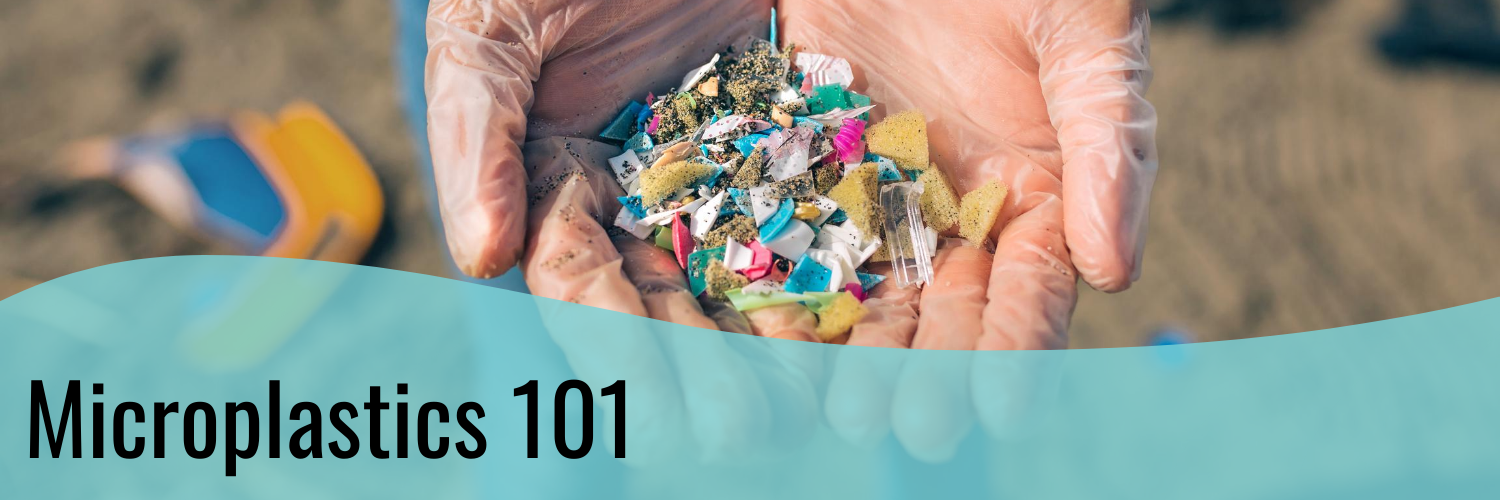 Microplastics 101 — Keep Pinellas Beautiful