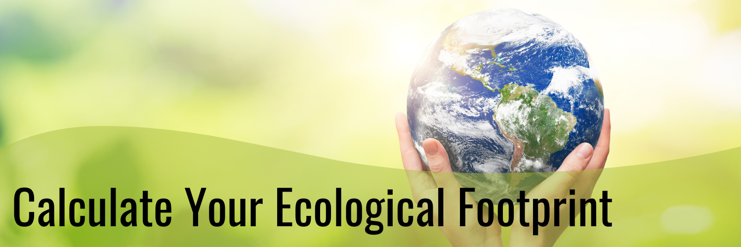 Calculate Your Ecological Footprint — Keep Pinellas Beautiful