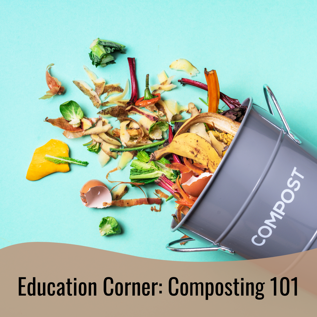 Our Blog — Keep Pinellas Beautiful