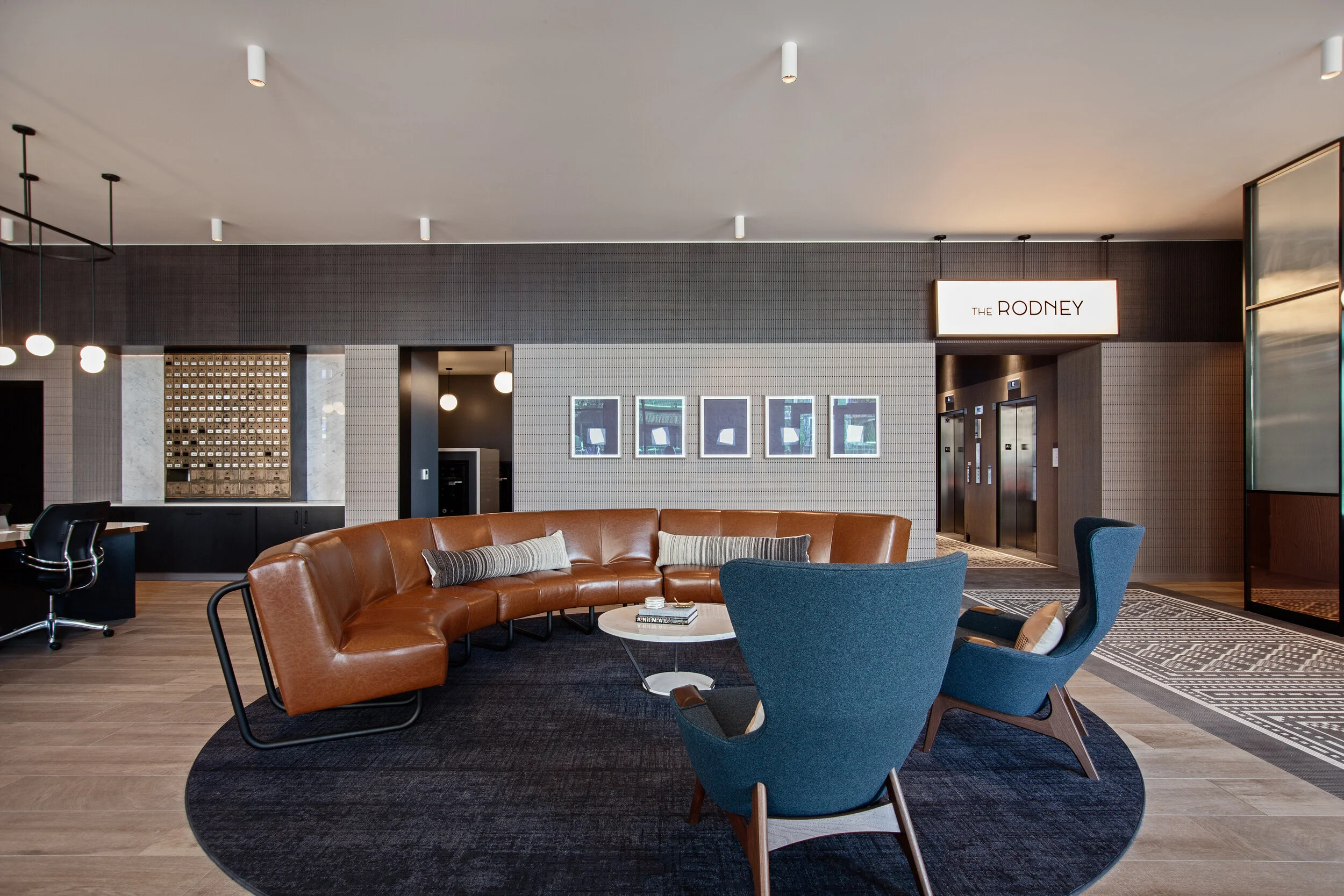 The Rodney — Sarah Oxley