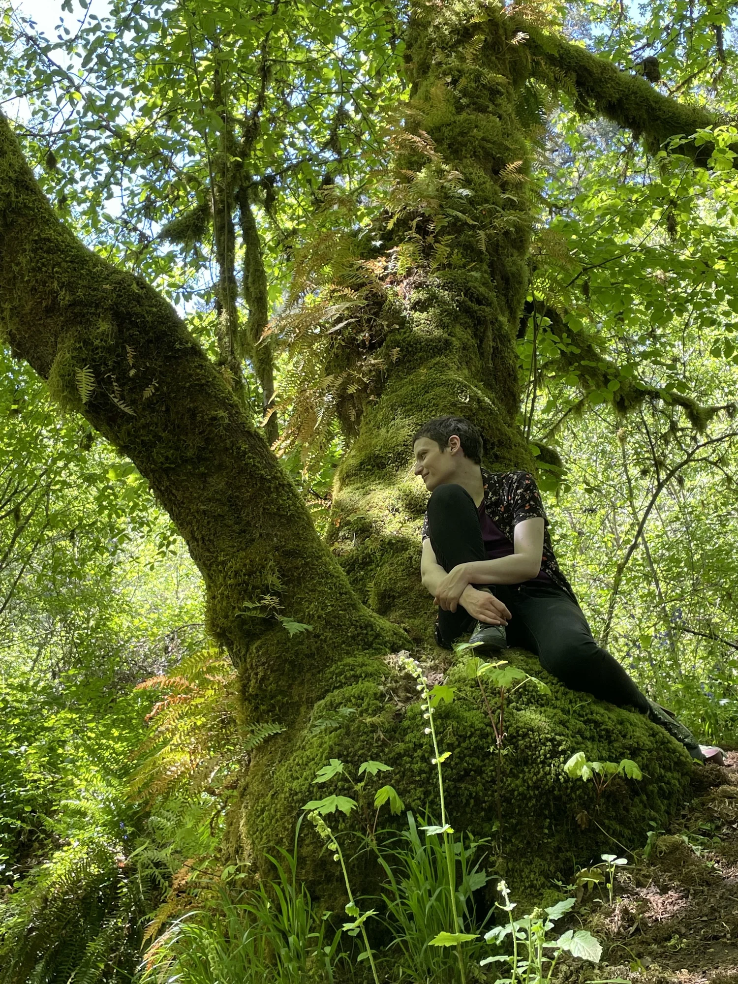 About Debut Novelist — Miranda Schmidt – Writer