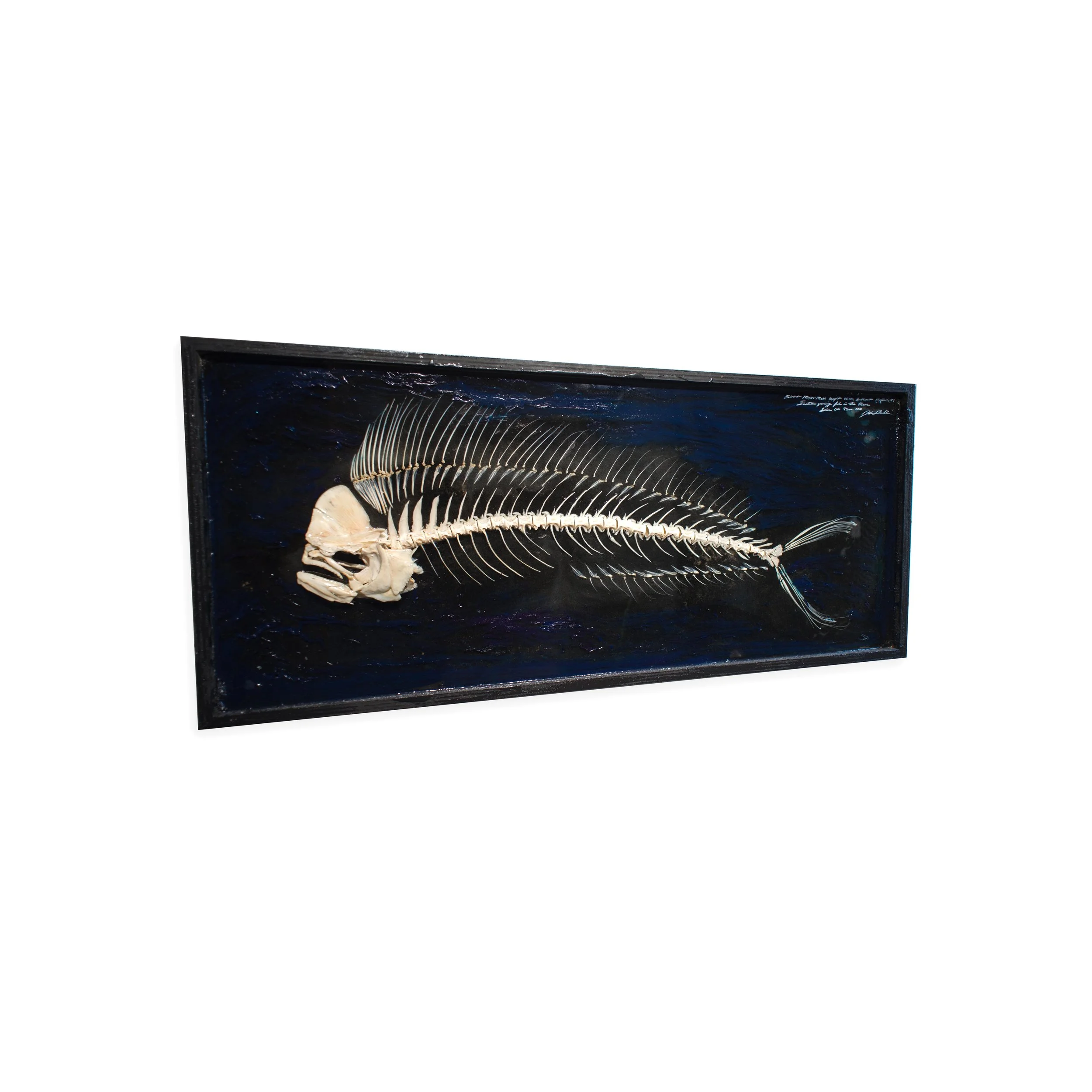 Shop — 41 North Montauk