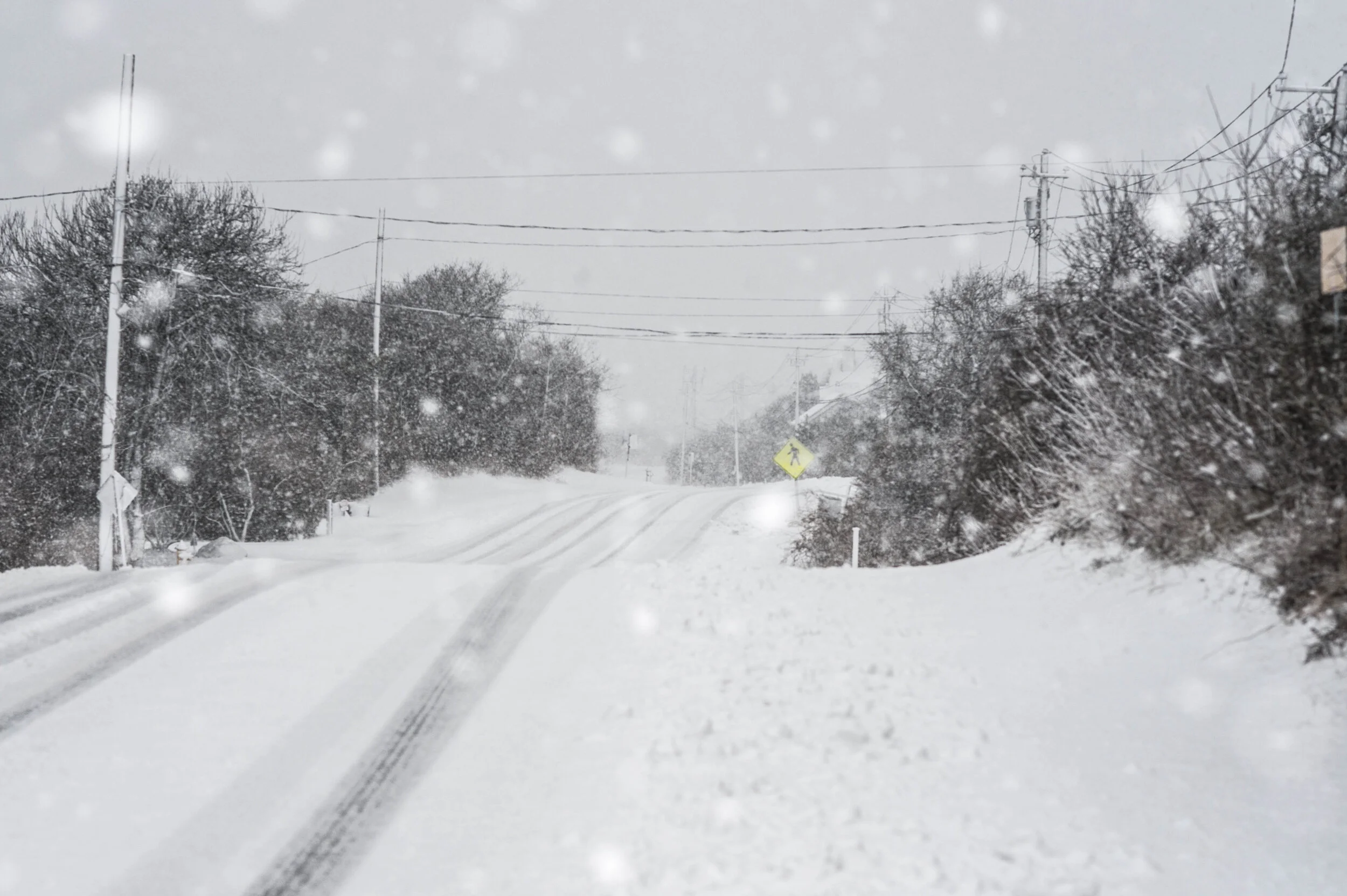 WHITEOUT — 41 North Montauk
