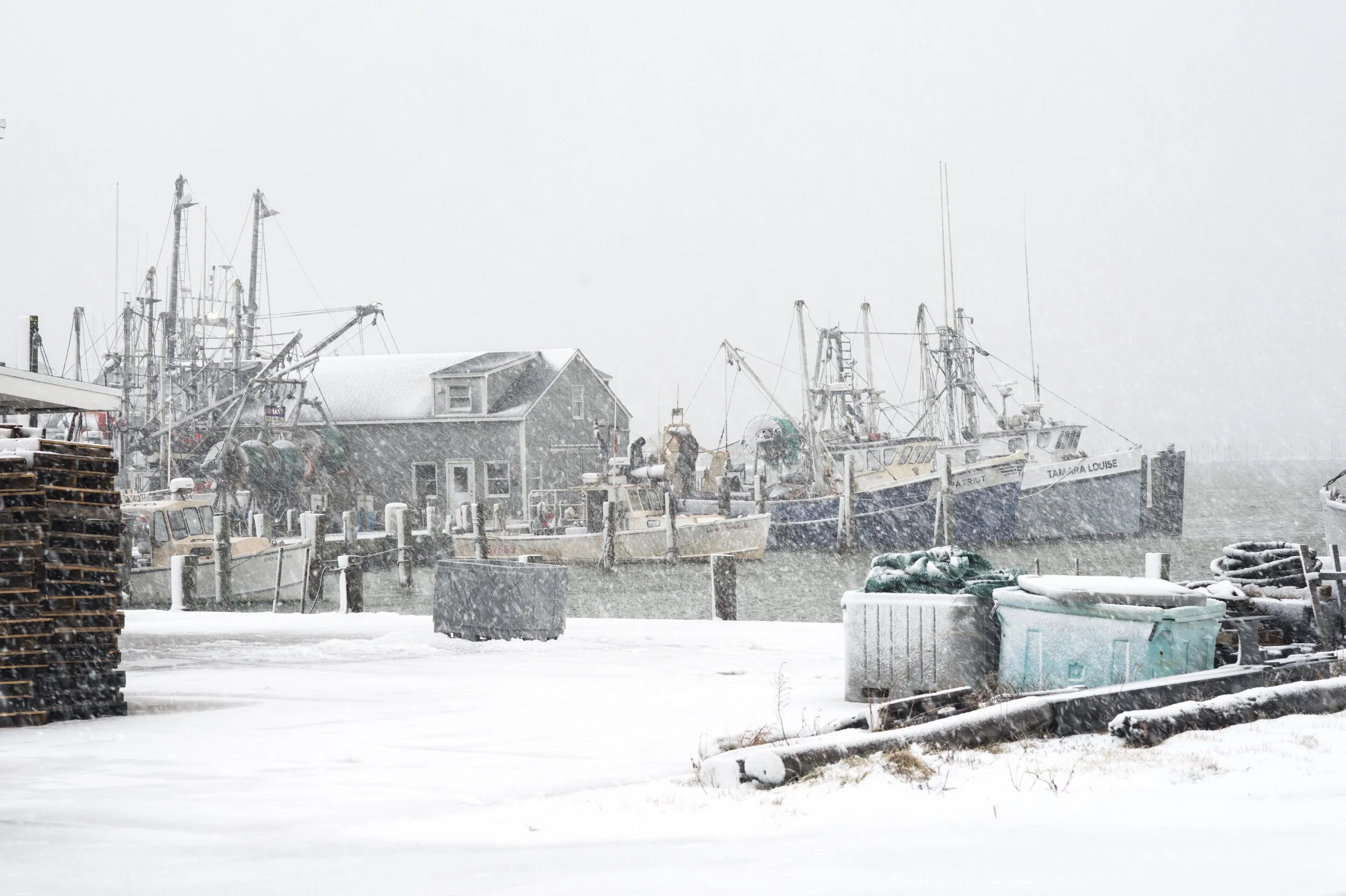 WHITEOUT — 41 North Montauk