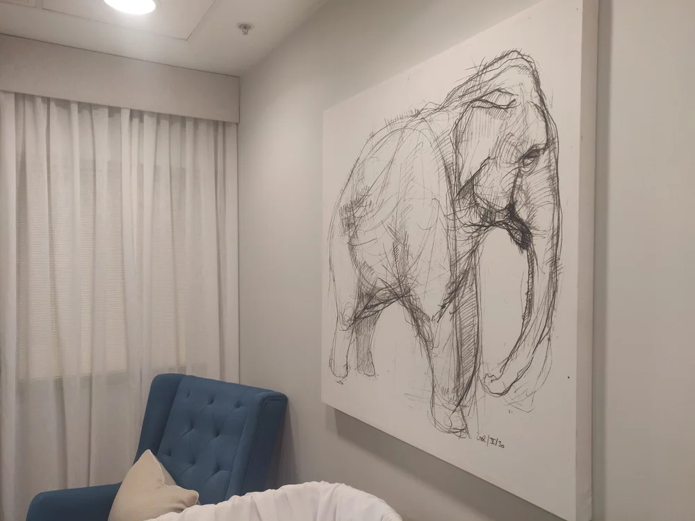 Transforming the Royal Women's Hospital Bereavement Room — Love It Styling