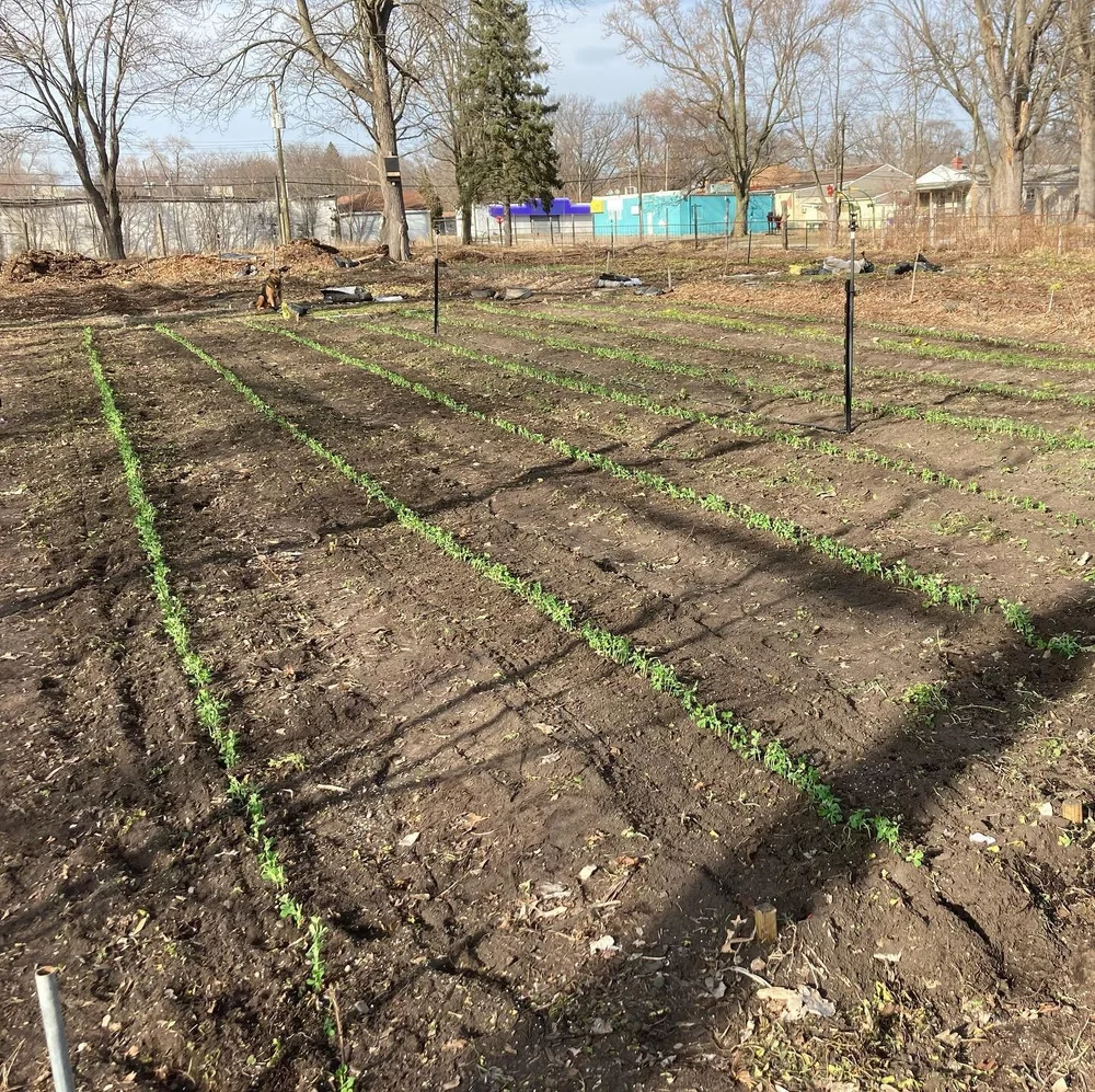 Beaverland Farms LLC