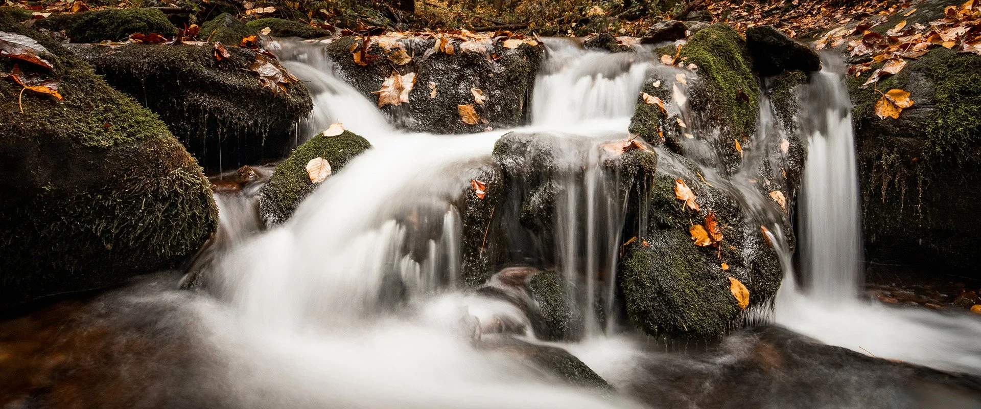 Church of the Holy Cross | An Anglican Church in Crozet, Virginia