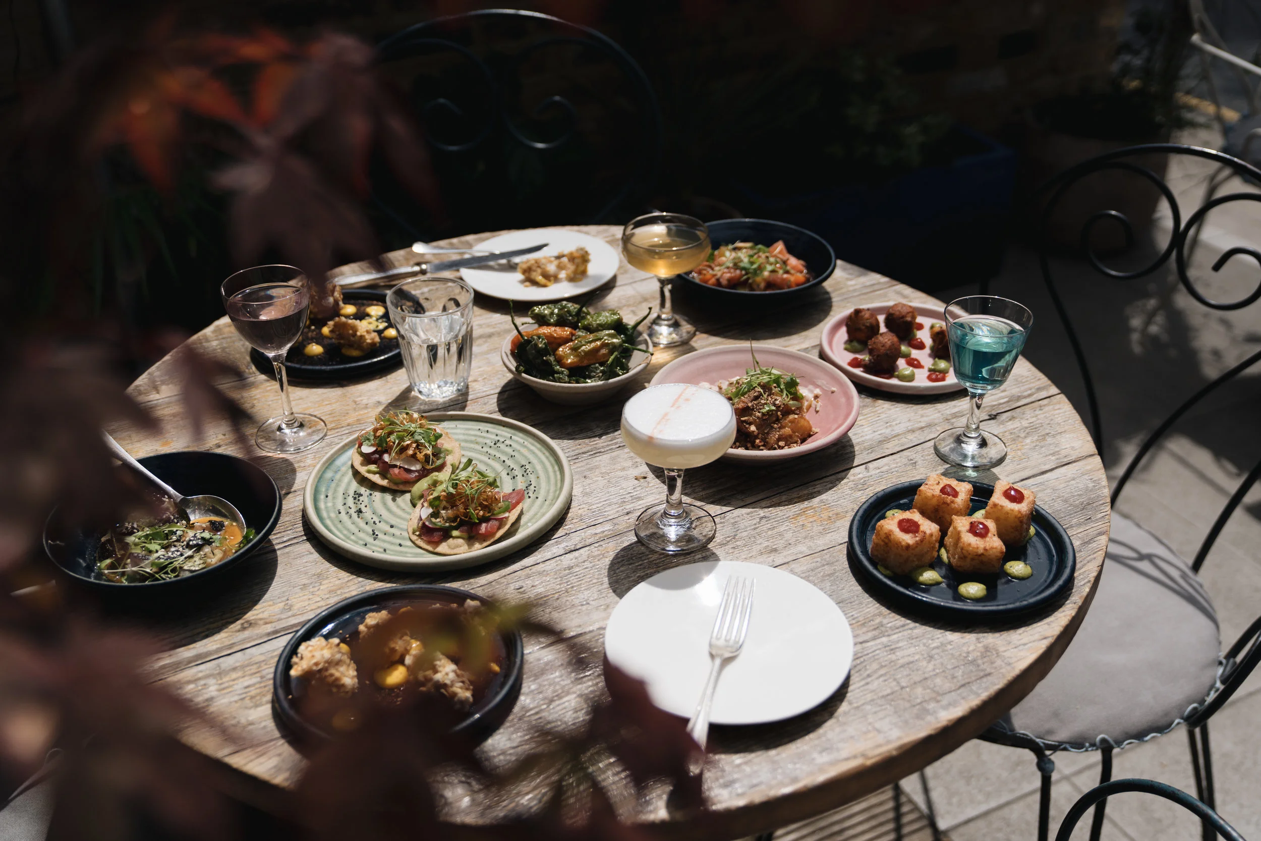 Gallery — Chicama