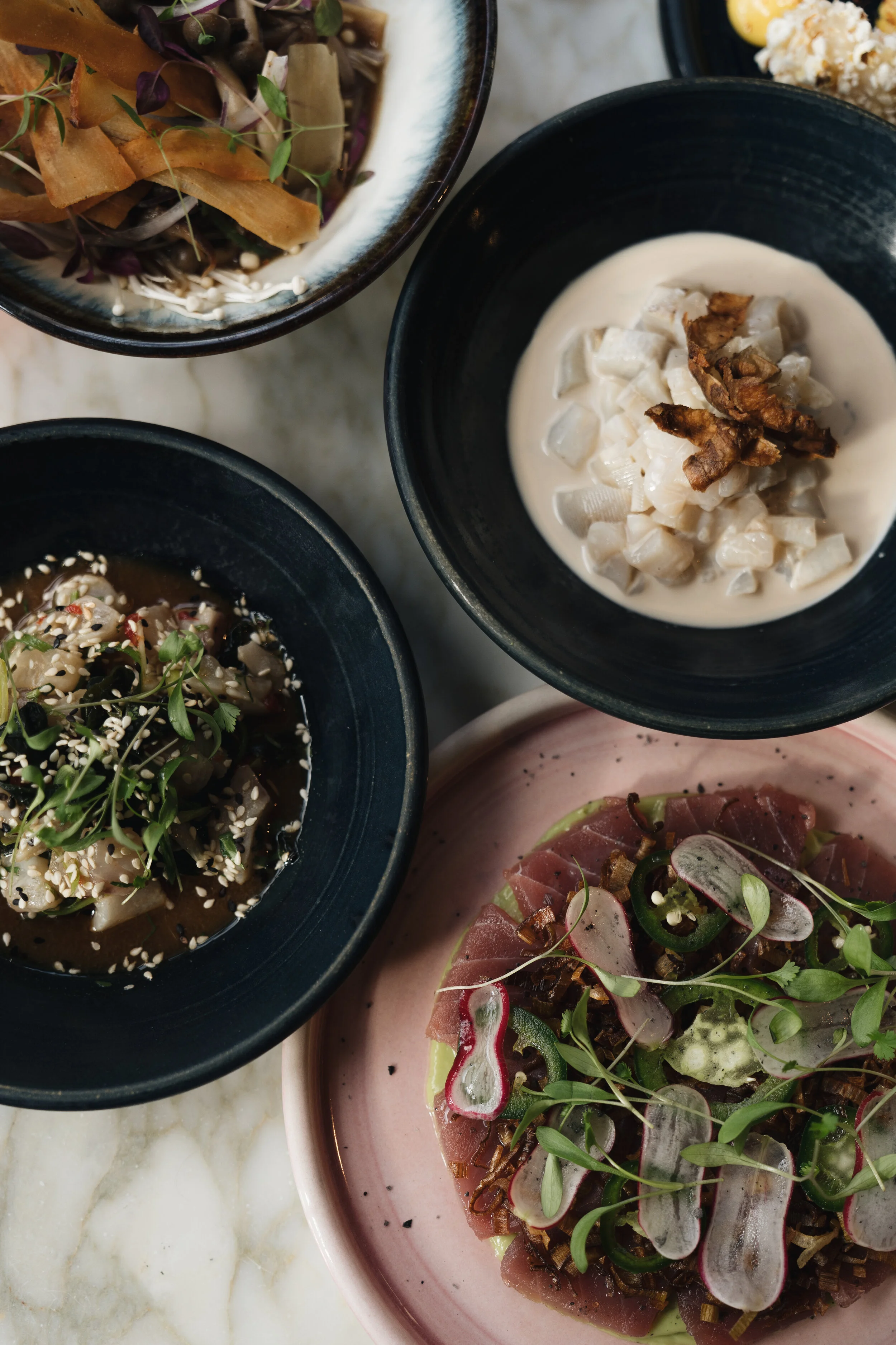 Gallery — Chicama