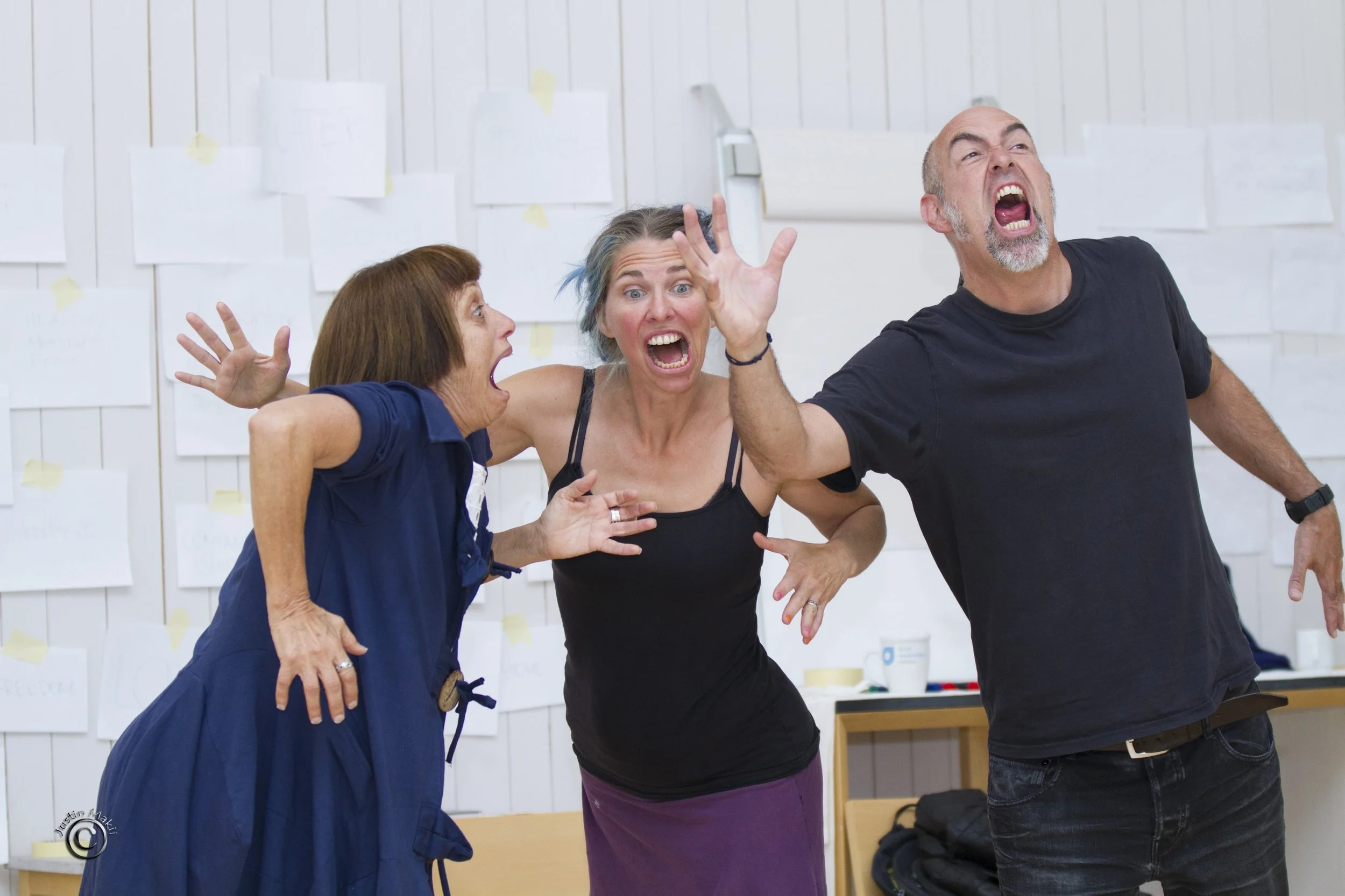 Theatre — Kjersti Webb