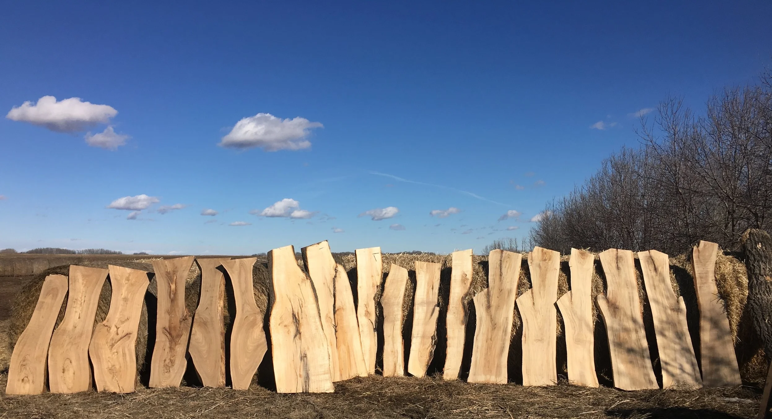 Lost River TImber