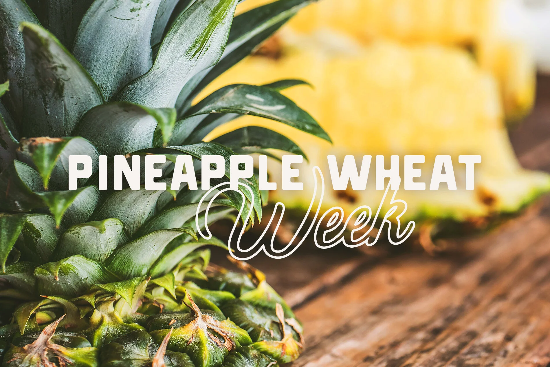 Pineapple Wheat Week — Rohrbach Brewing Company