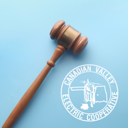 Duties for Board of Trustees — Canadian Valley Electric Cooperative