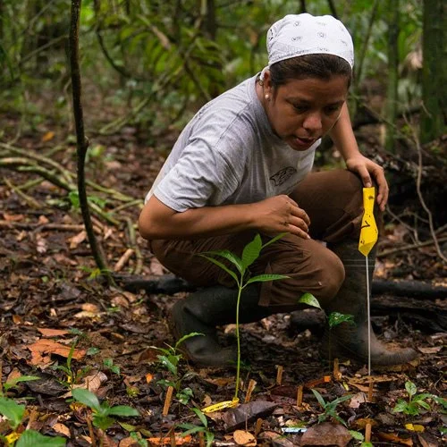 RaMP-UP Fellows — Global Sustainability Scholars