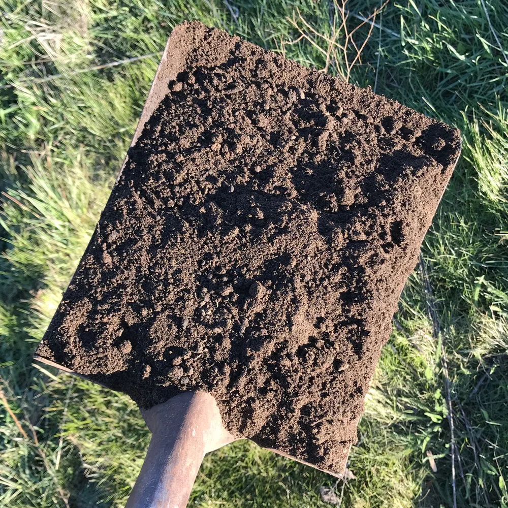 GREEN ROOF & BIOSWALE — Dirt Hugger