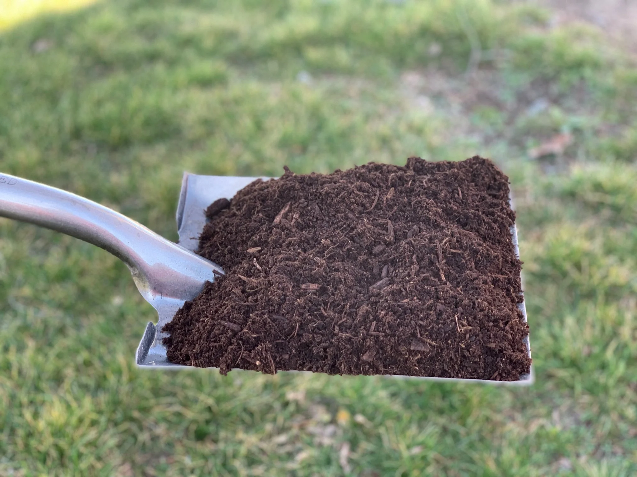 BARKS — Dirt Hugger