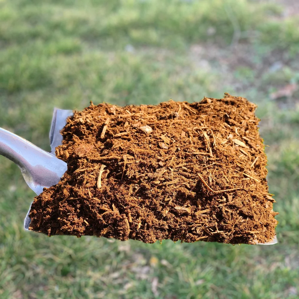 BARKS — Dirt Hugger