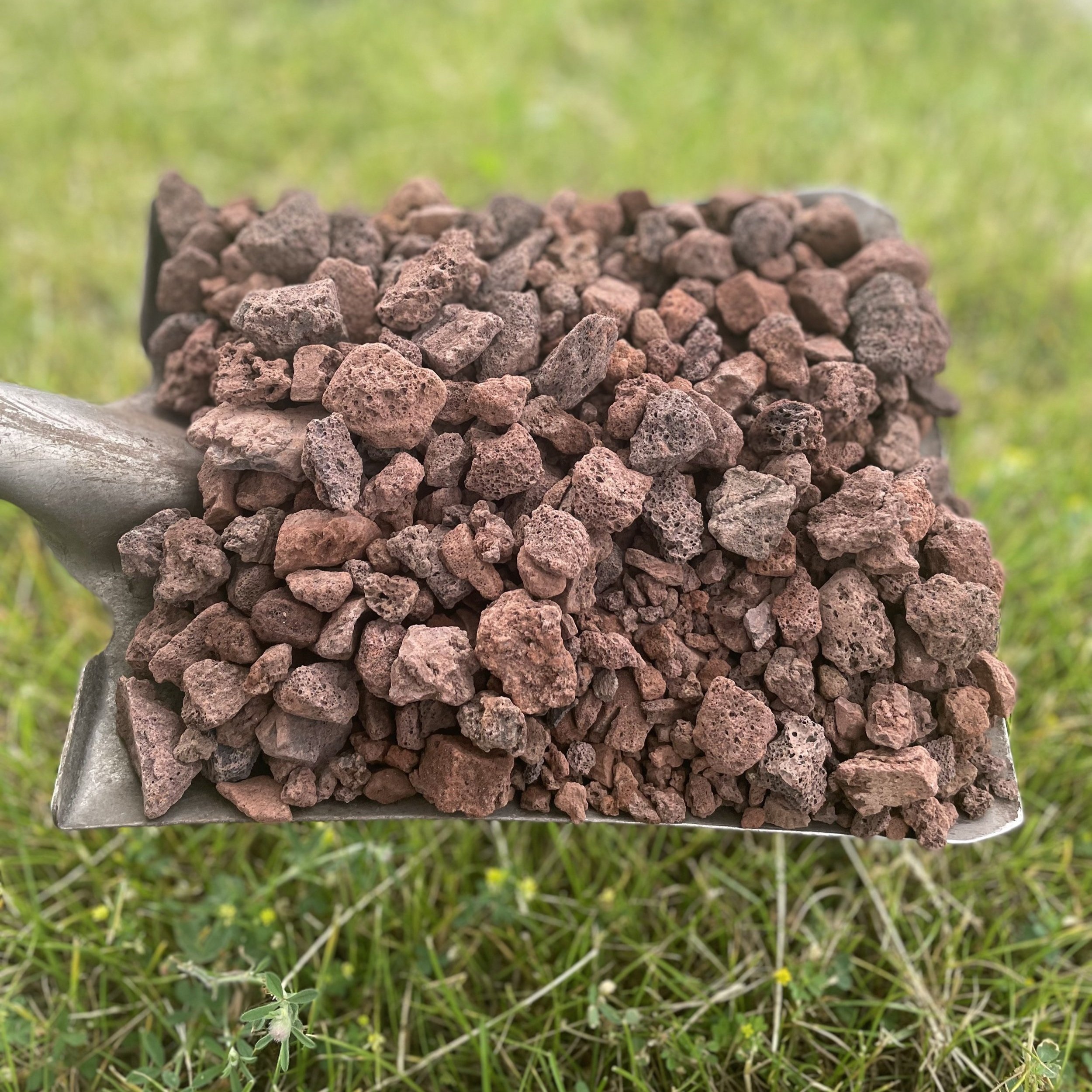 ROCK — Dirt Hugger