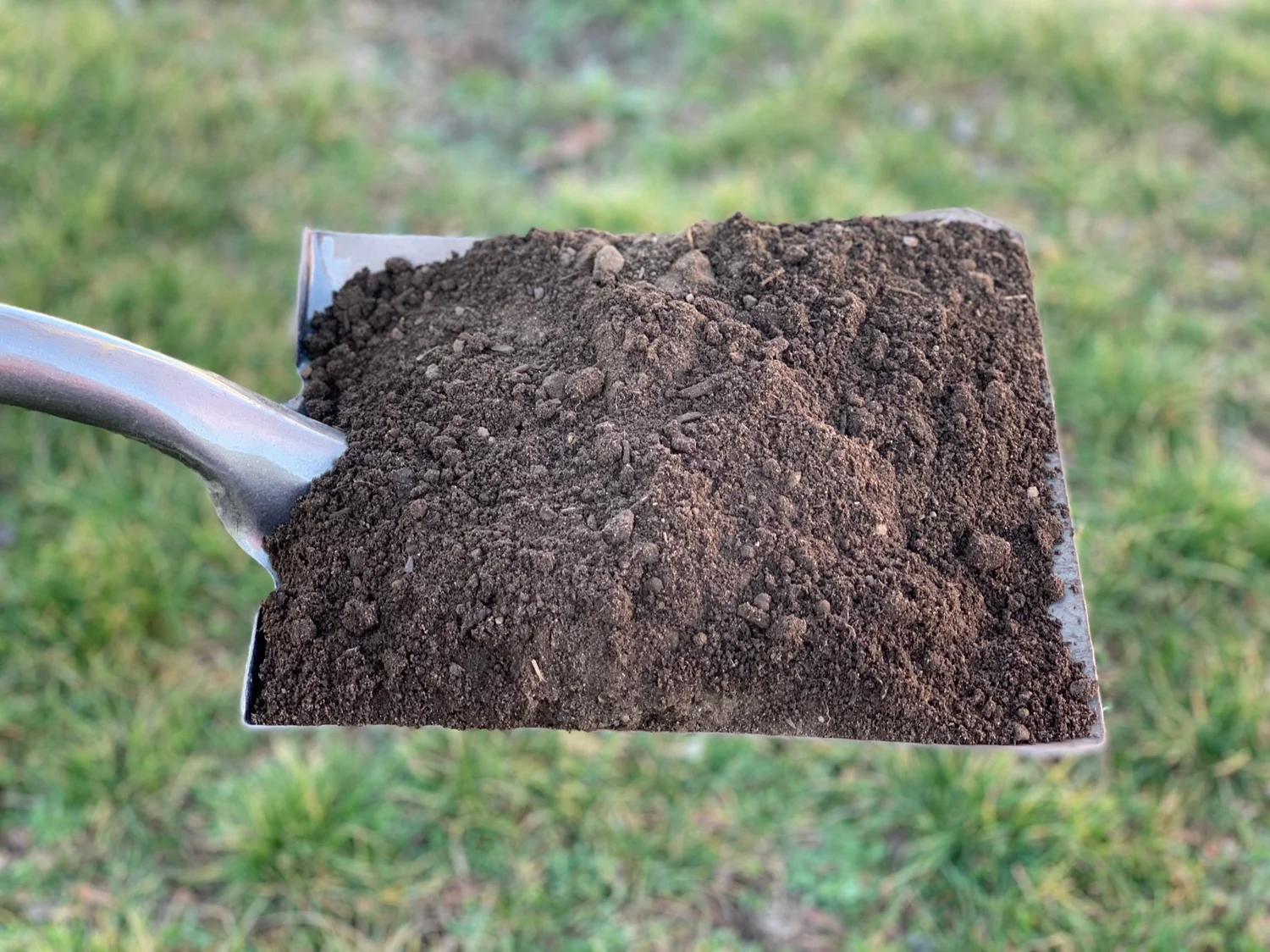ROCK — Dirt Hugger