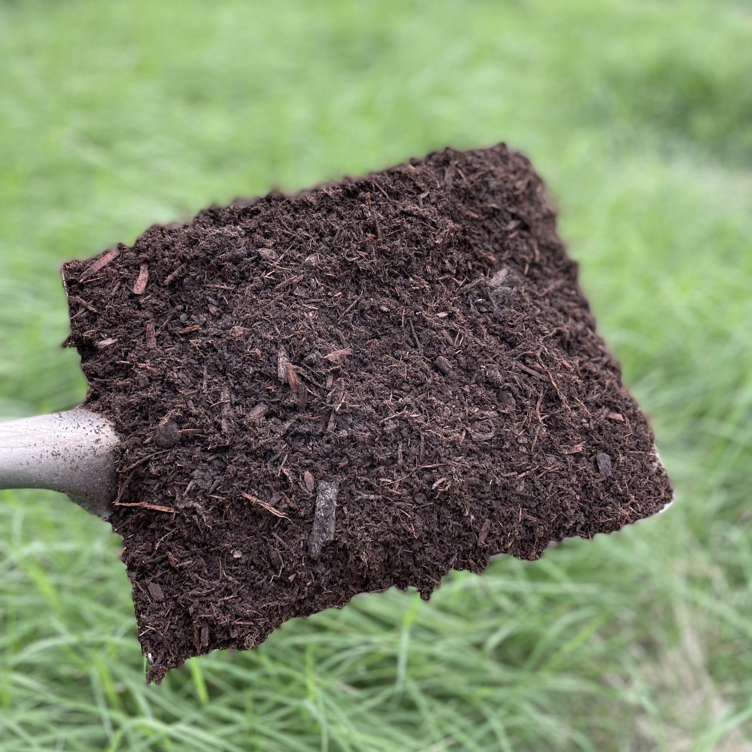 BARKS — Dirt Hugger