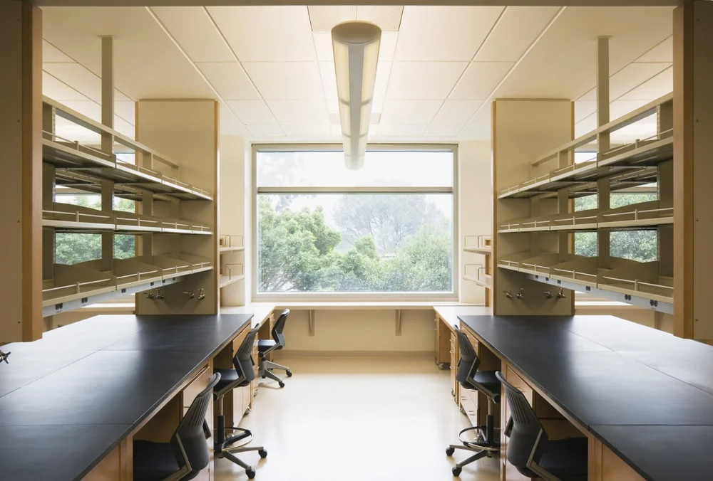 Biomedical Research Minor Ucla