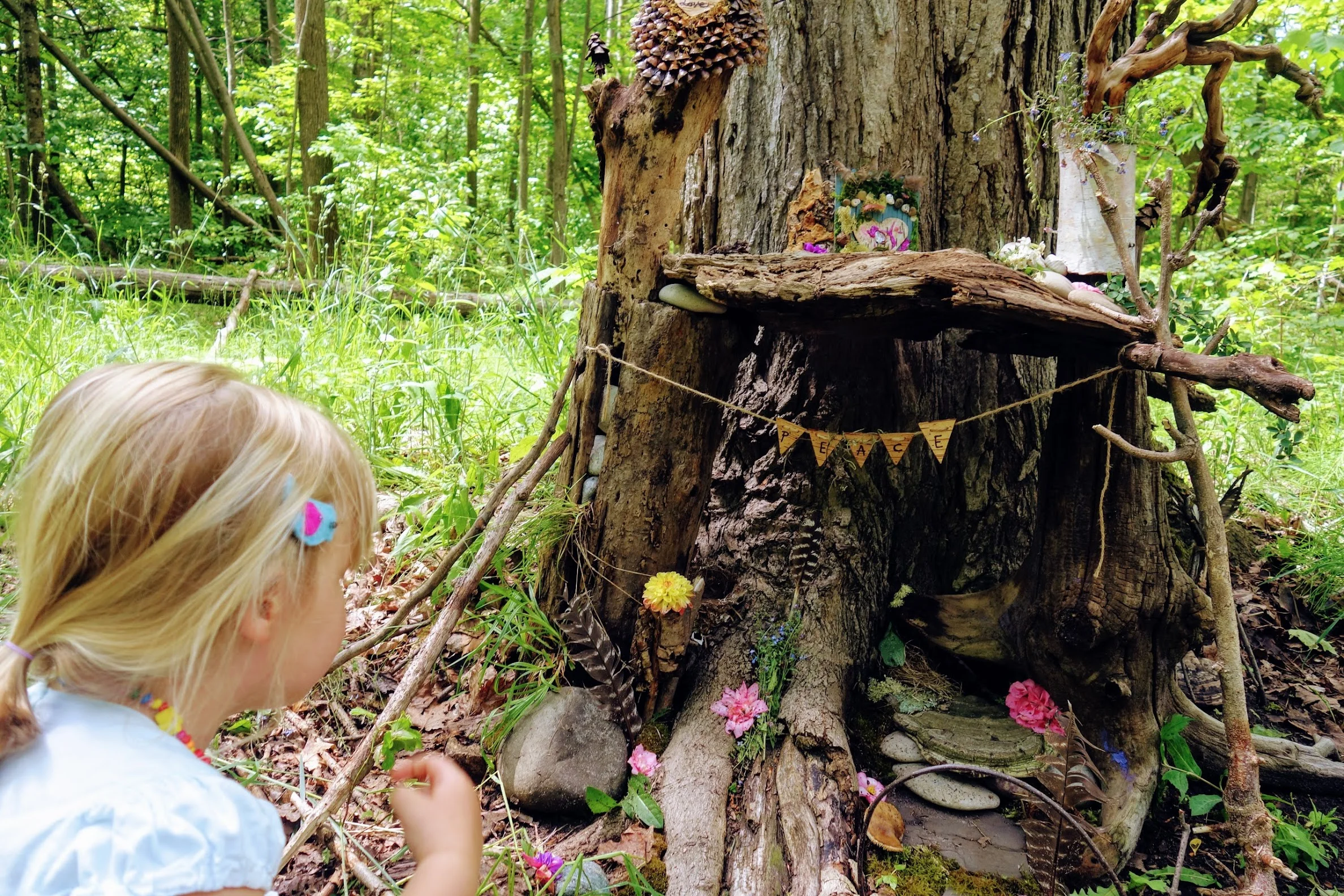 Real Fairies House