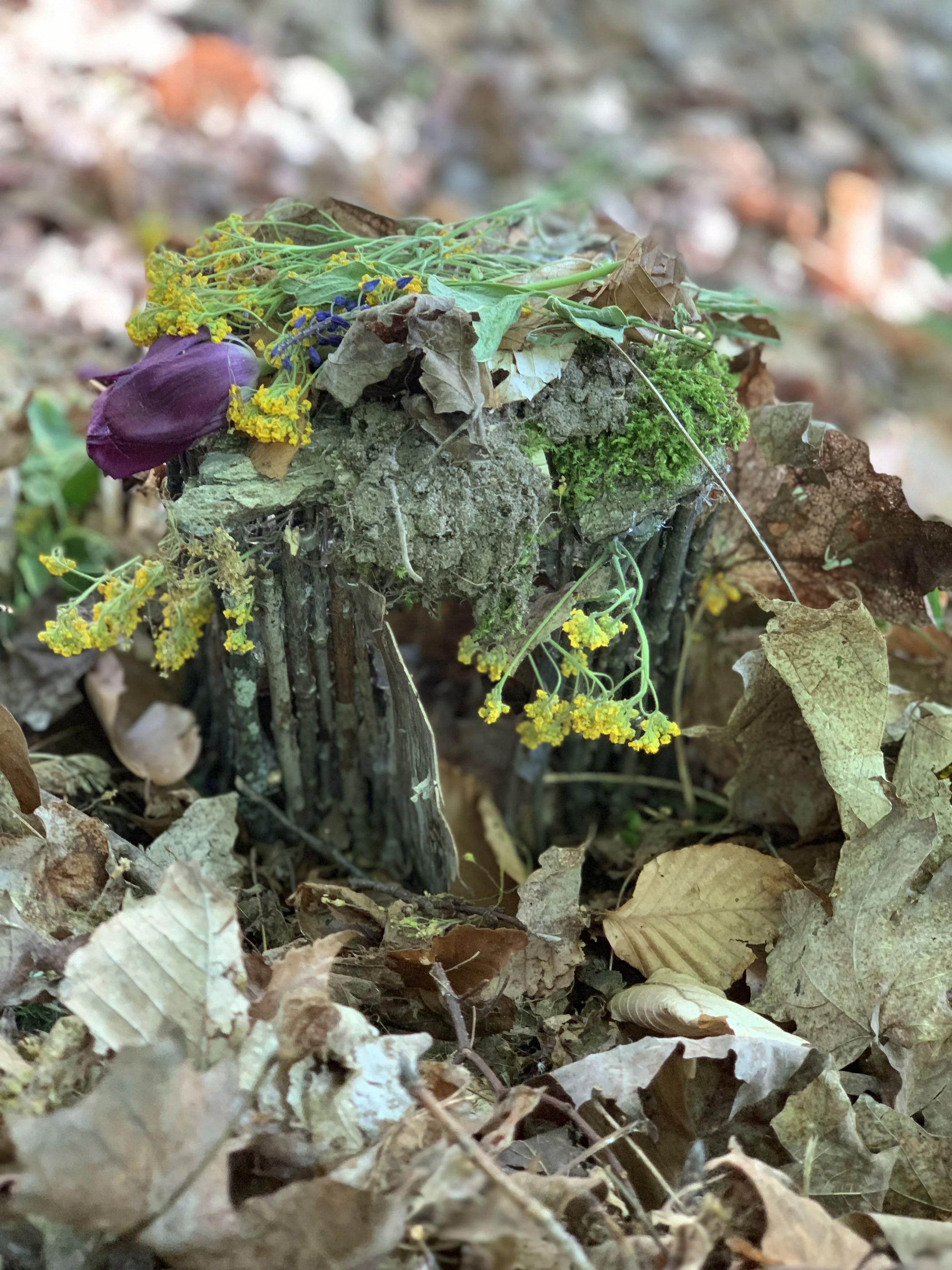 Traverse City Fairy Trails at The Botanic Garden at Historic Barns Park ...