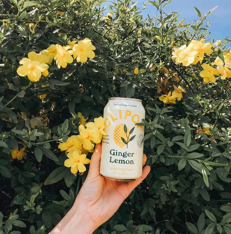 Break Maiden - Creative Studio - St. Petersburg, FL