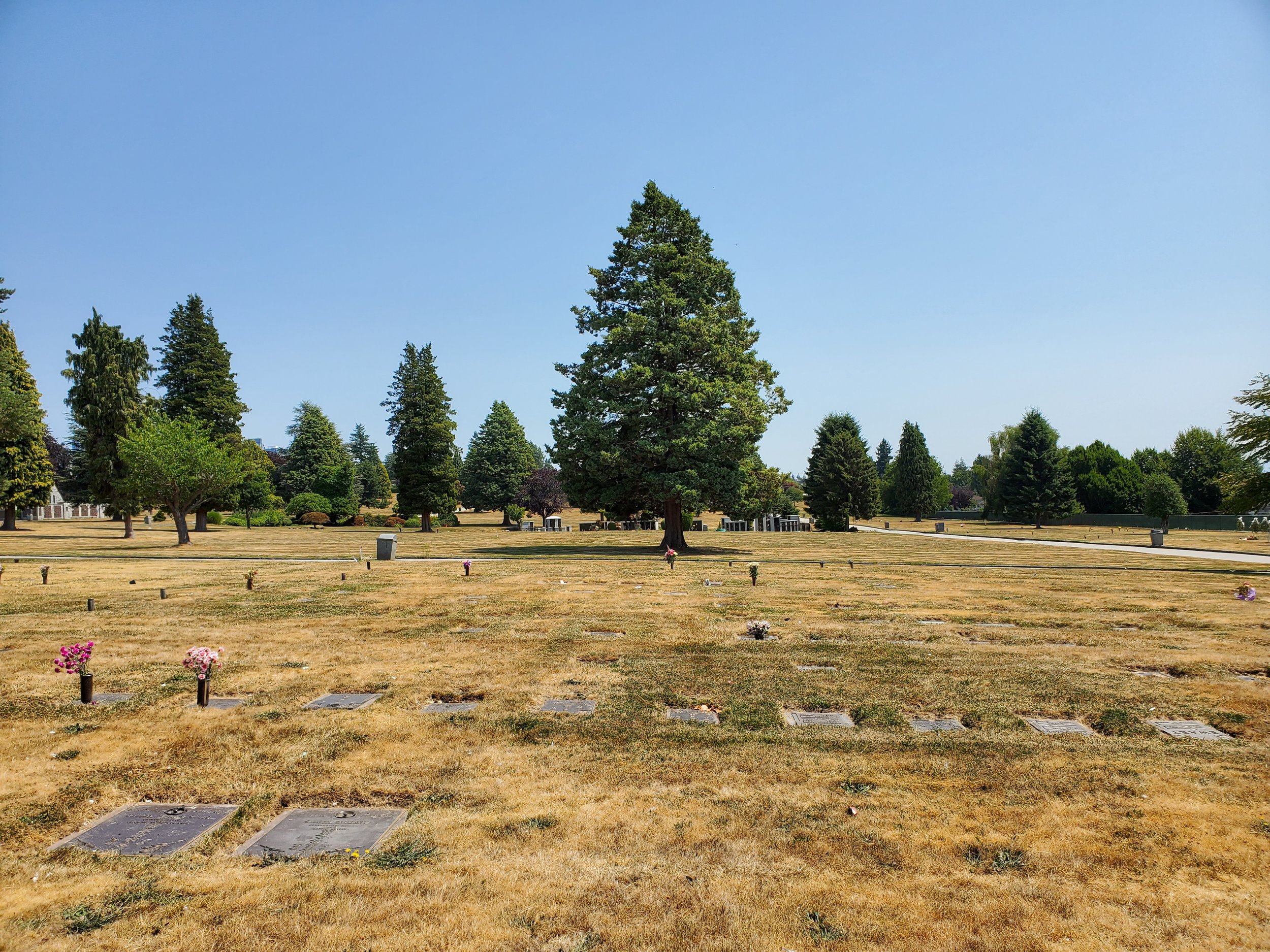 Sycamore 73 - SOLD — Buy & Sell Cemetery Property 778-323-8379