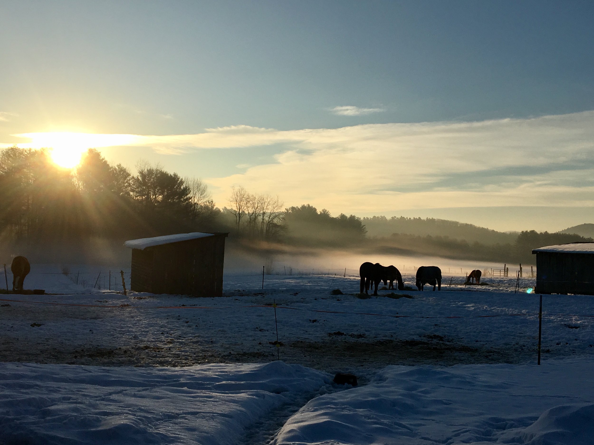 Brookside Farm
