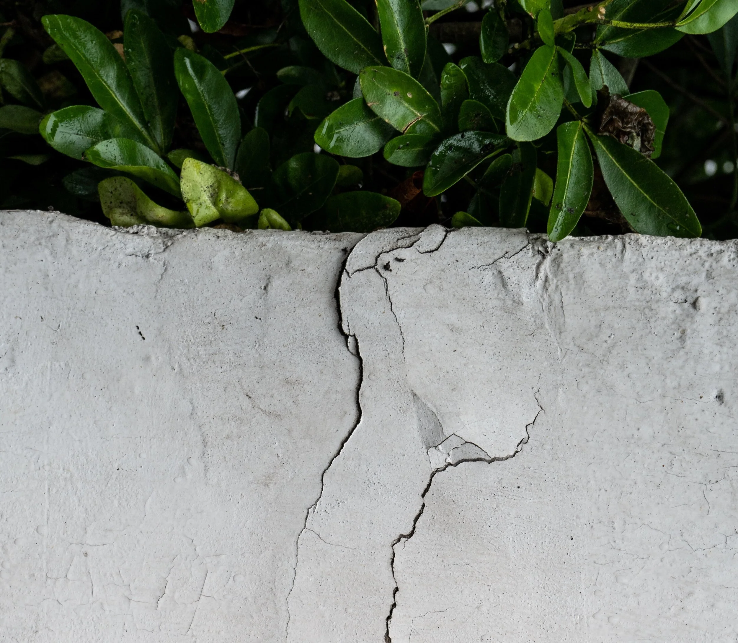 Interfaith Ministries — Blog — Union Baptist Association