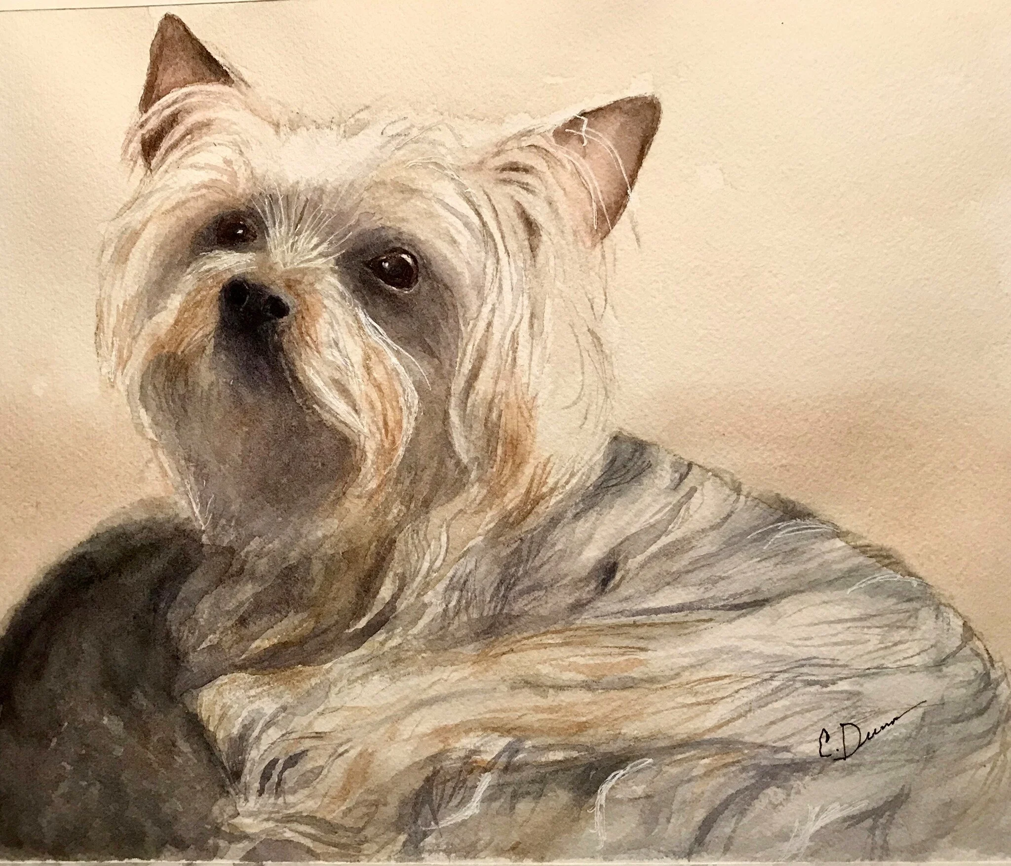 Cathy Dunn — All About Art