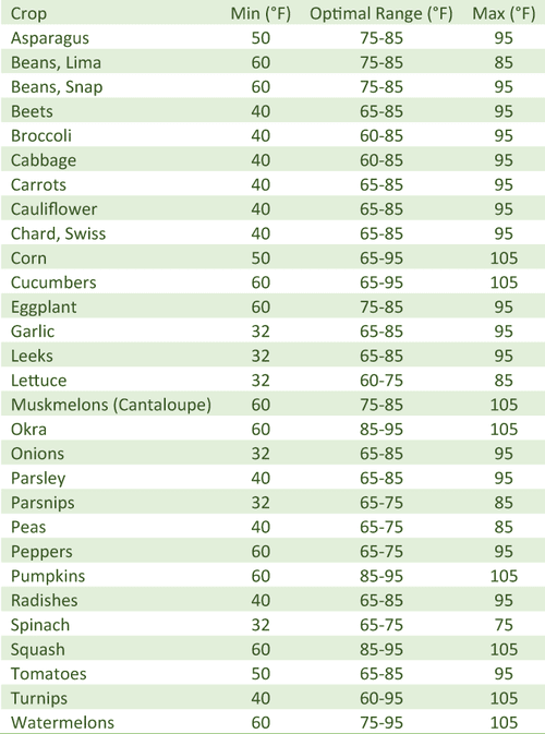 How to Germinate Seeds: Water, Oxygen, Temperature, and Light — Sili ...