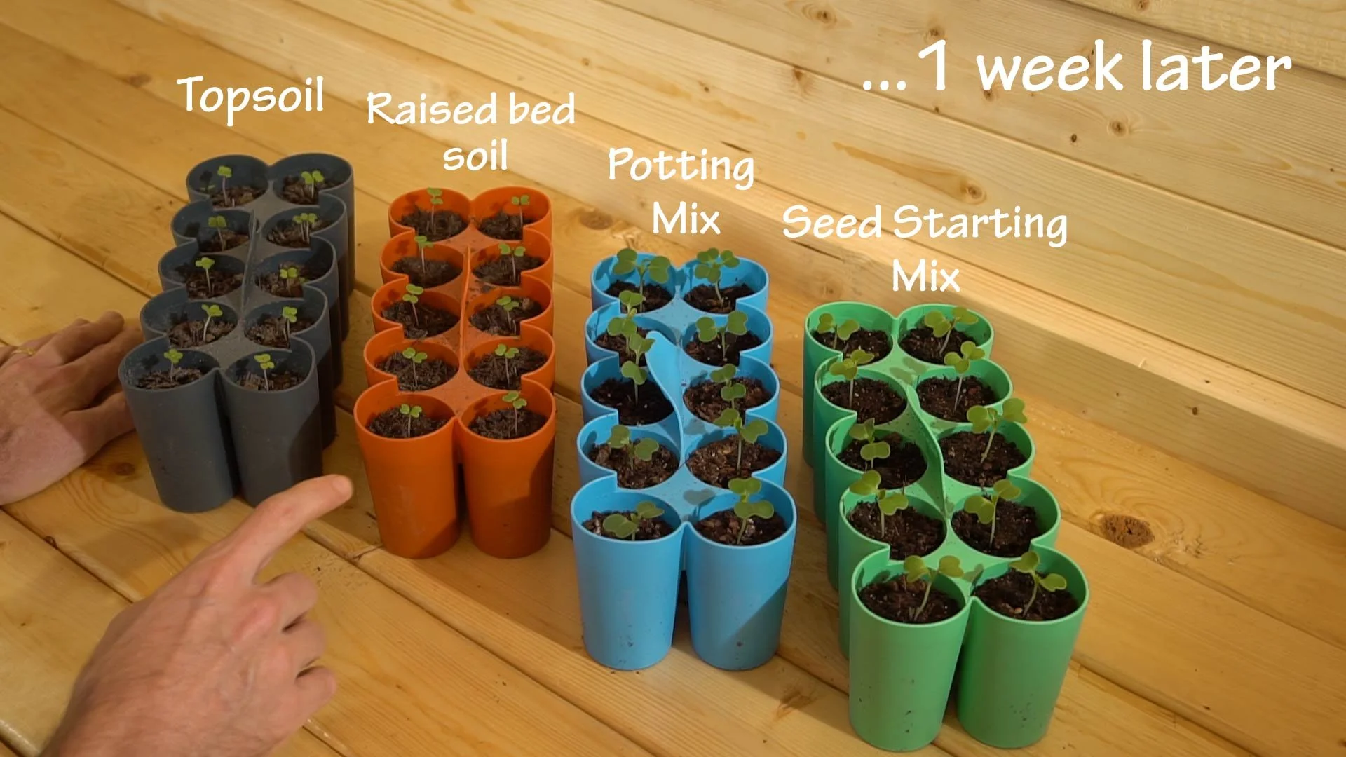 The Five Basic Types of Soil, Explained — Sili-Seedlings