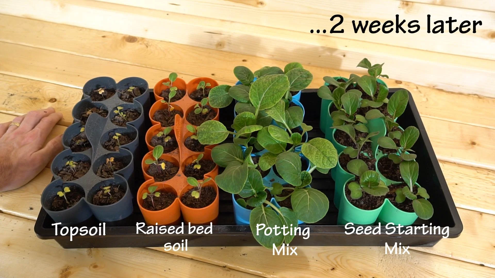 The Five Basic Types of Soil, Explained — Sili-Seedlings