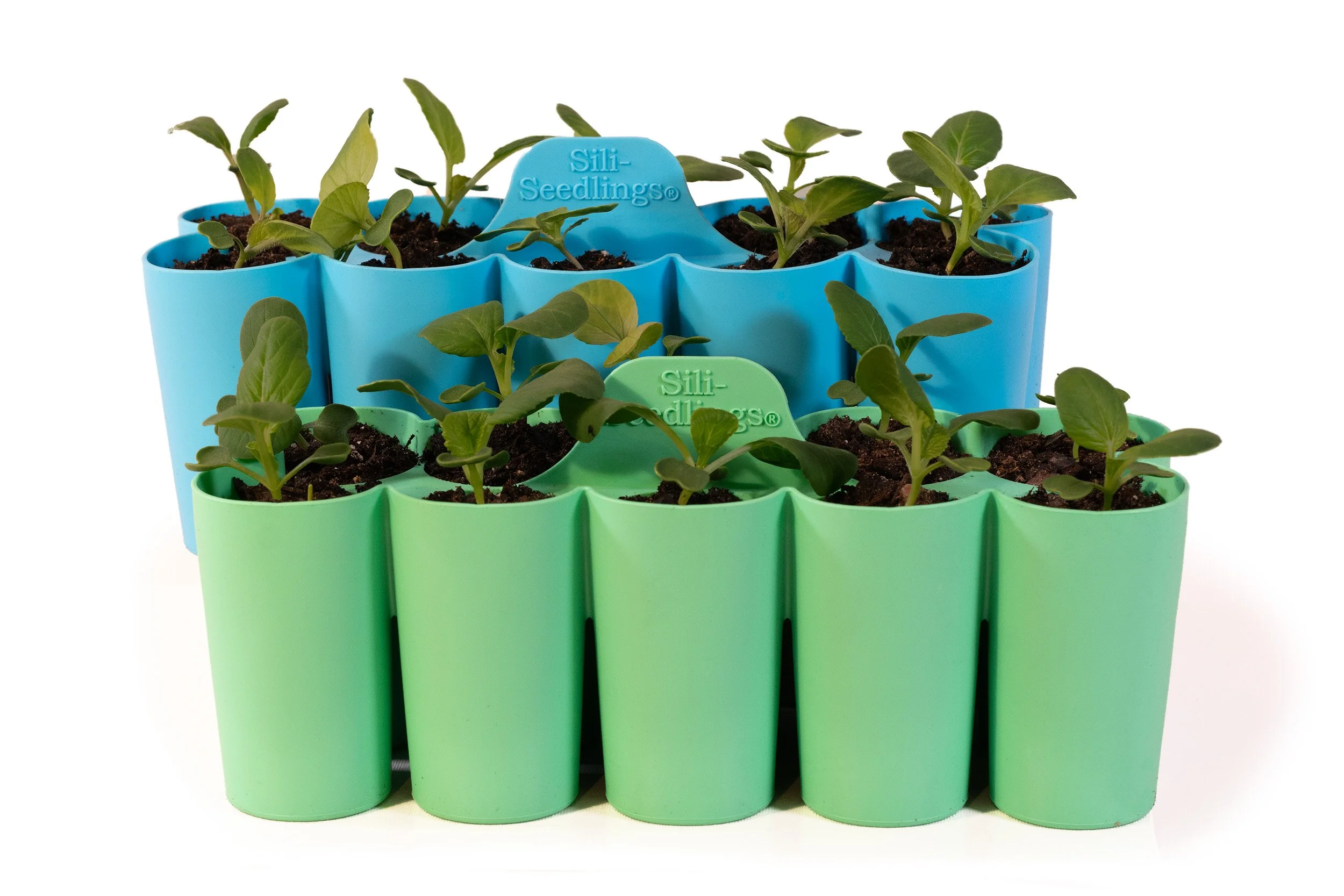Sili-Seedlings - 100% Silicone Seed Starter Trays