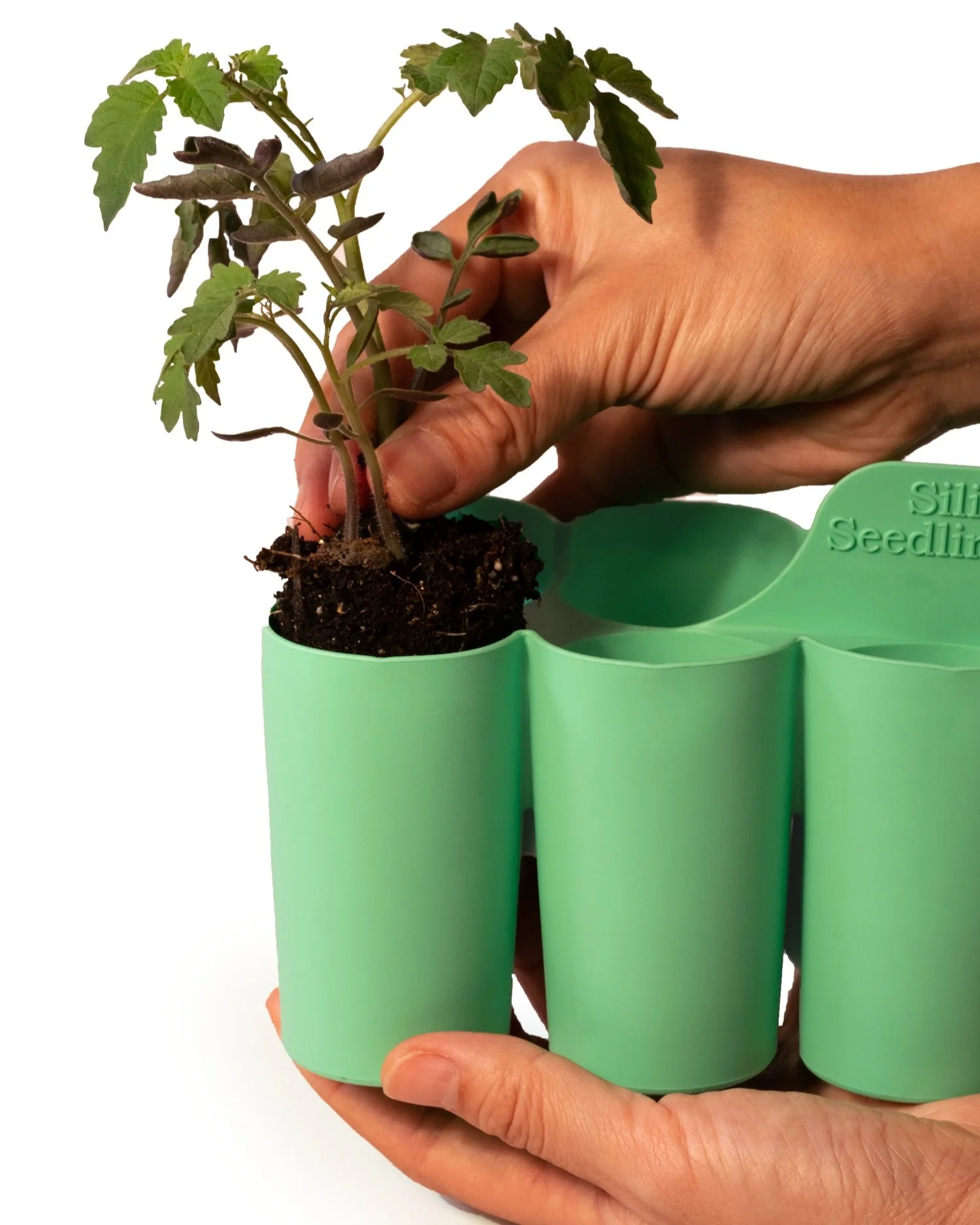 Sili-Seedlings - 100% Silicone Seed Starter Trays