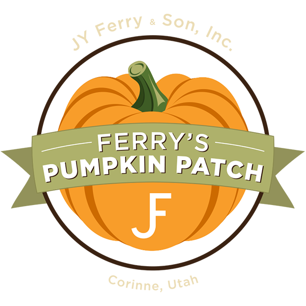 Pumpkin Patch — JY Ferry