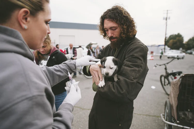 Street Vets Free Animal Clinics — 4 R Friends: The Street Vets