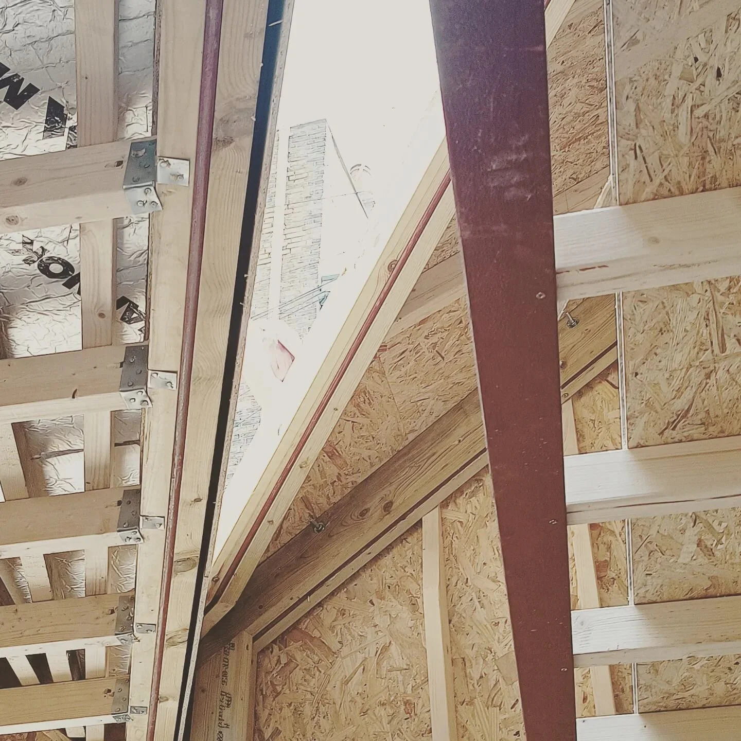 Scoop — del Renzio & del Renzio